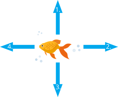 Spēku virziens — uzdevums. Dabaszinības (Skola2030), 6. klase.