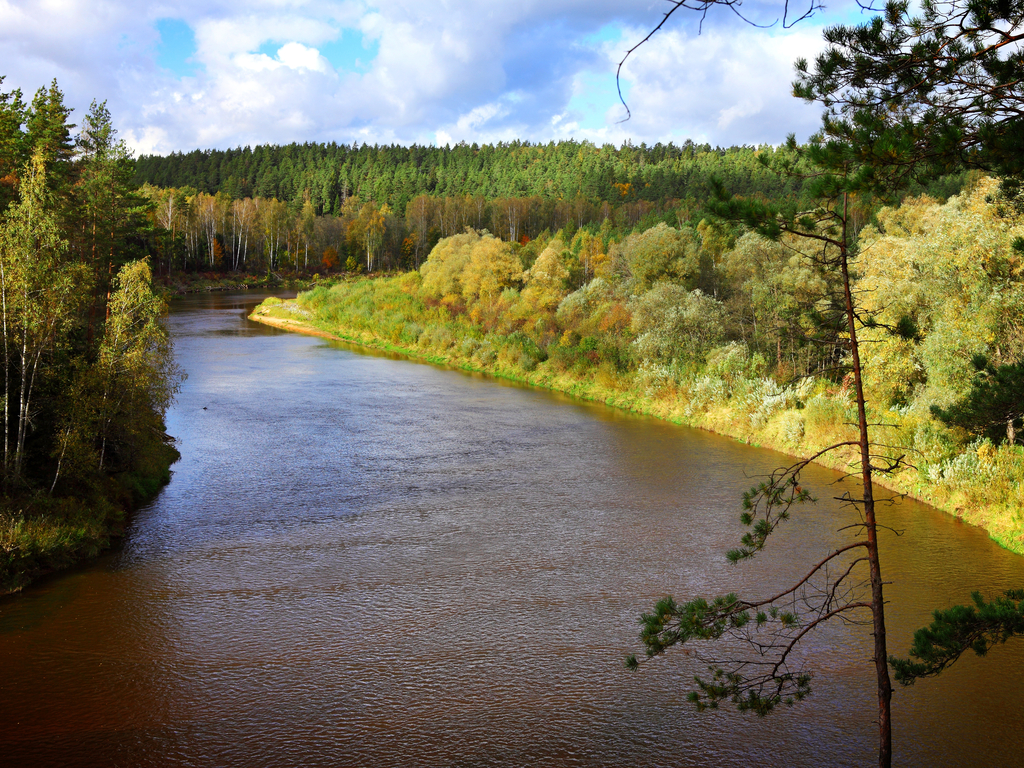Kādas Zemes virsmas formas ir Latvijā? — teorija. Dabaszinības ...