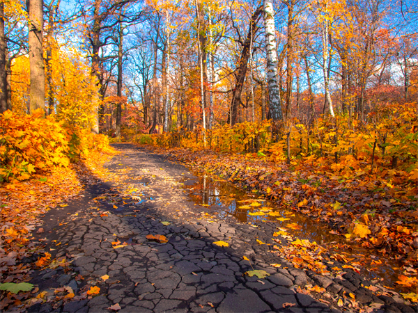 Rudens dabas tēli mūzikā — teorija. Mūzika (Skola2030), 2. klase.