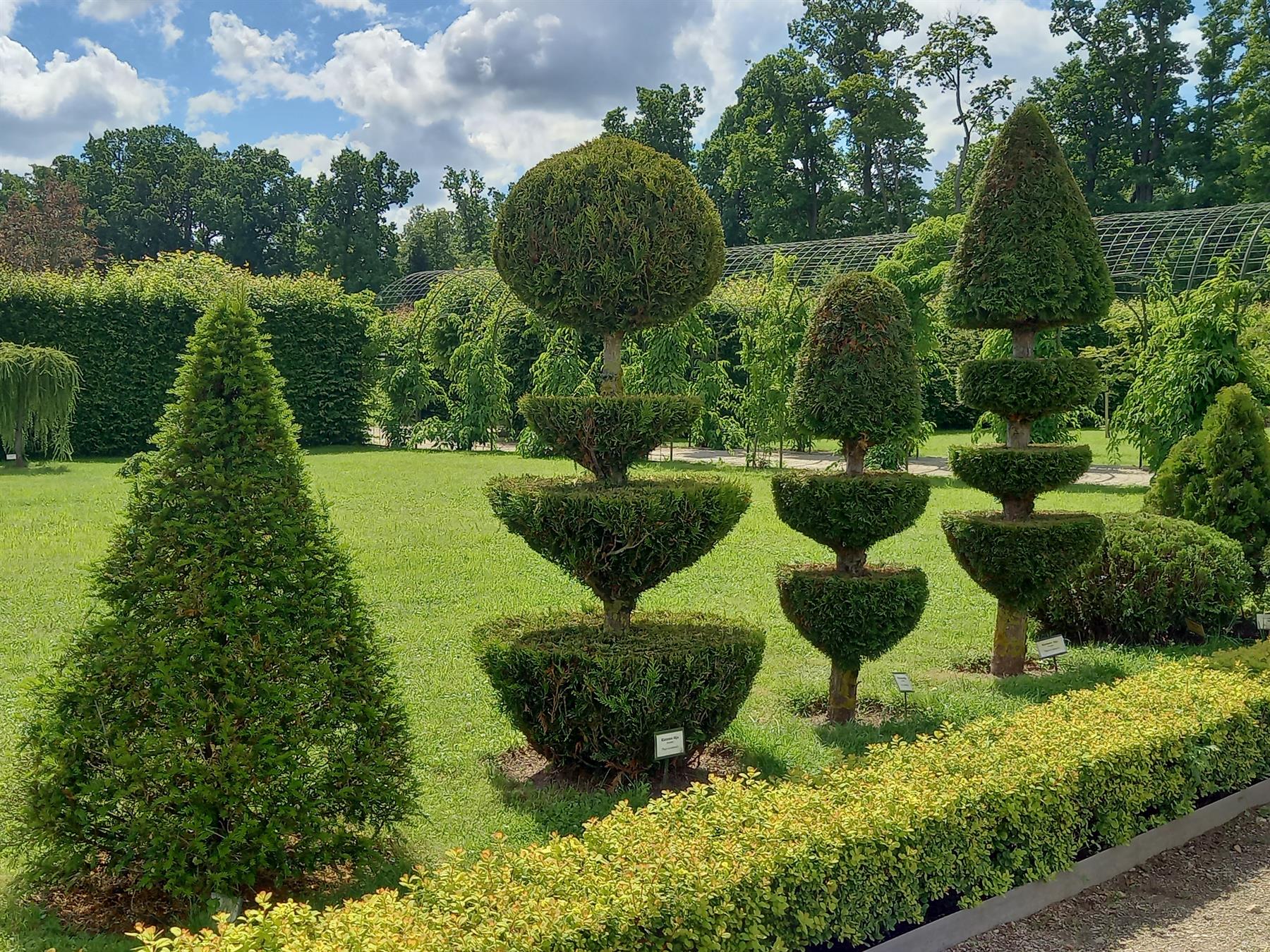 Vides dizains. Dabas elementi — teorija. Vizuālā māksla (Skola2030), 2 ...