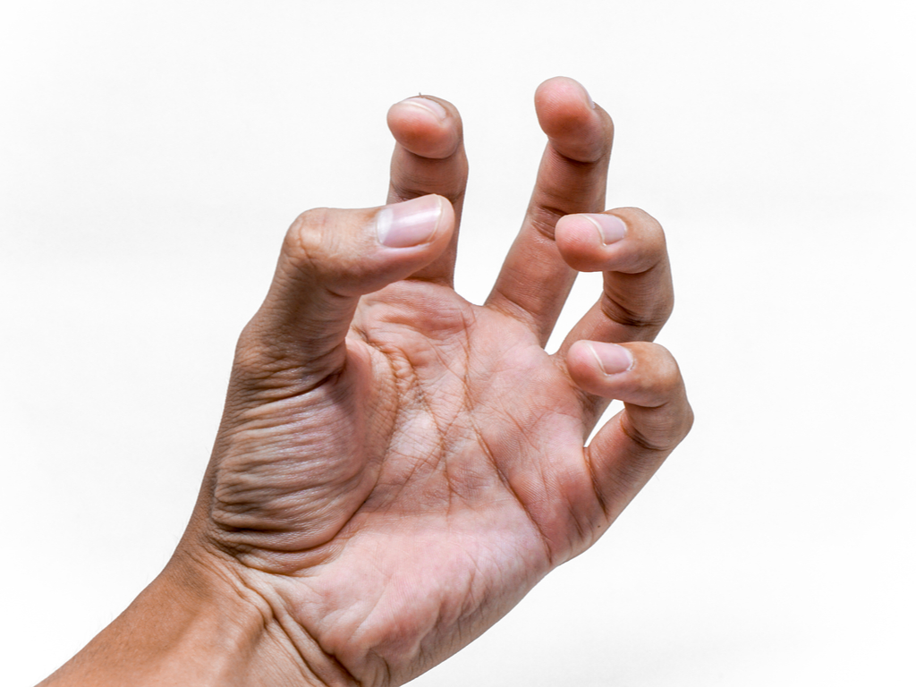 Balsta un kustību orgānu traumas un slimības — teorija. Bioloģija ...