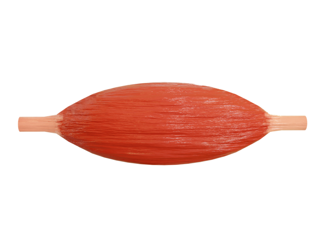 Muskuļu veidi un to darbības principi — teorija. Bioloģija (Skola2030 ...