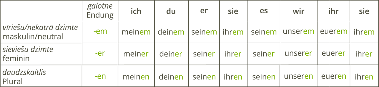 Possessivpronomen – Piederības vietniekvārdi — teorija. Vācu valoda ...