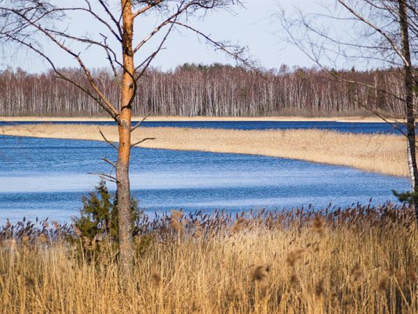 Aizsargājamie dabas objekti — teorija. Dabaszinības, 4. klase.