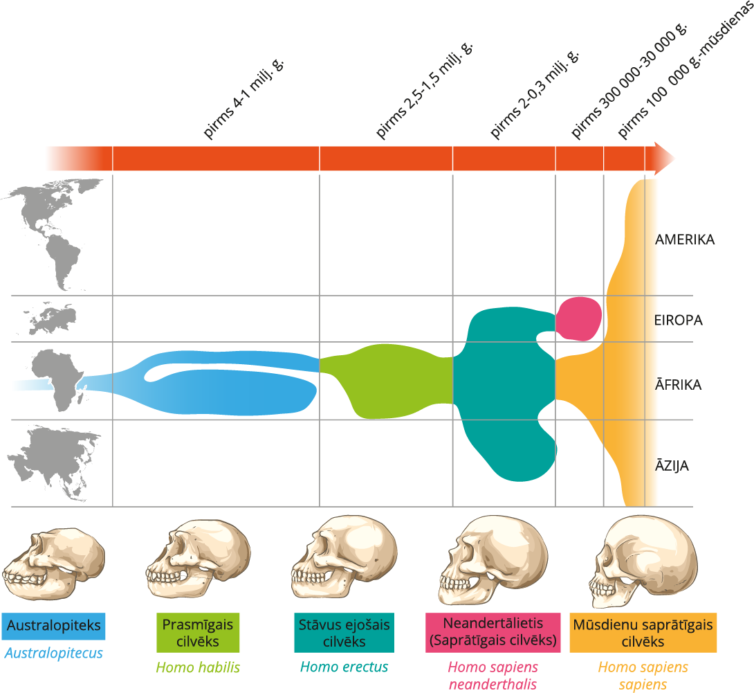 Dzīvo organismu evolūcija — teorija. Bioloģija (Skola2030), Bioloģija I.