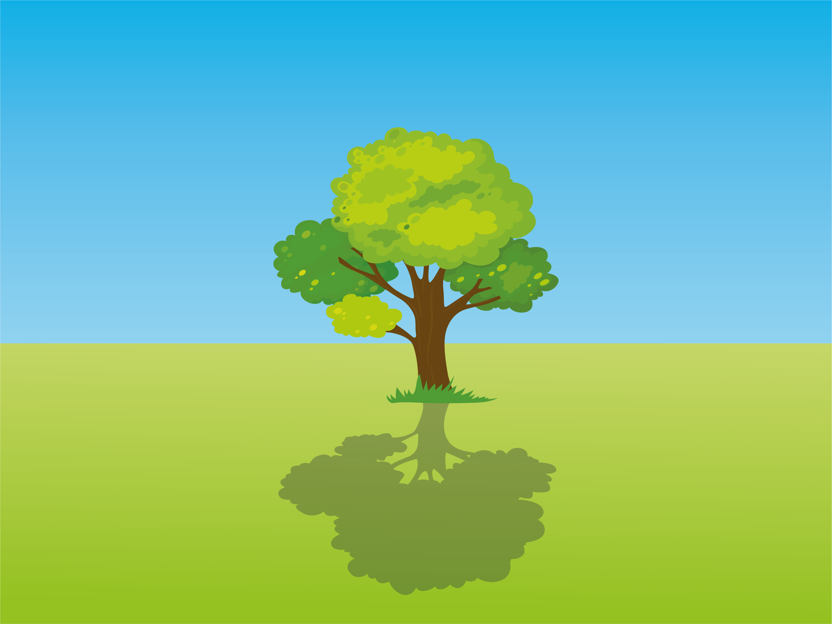 Gaisma — teorija. Dabaszinības (Skola2030), 1. klase.