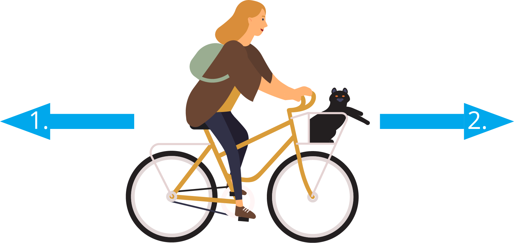 Spēku virziens — uzdevums. Dabaszinības (Skola2030), 6. klase.