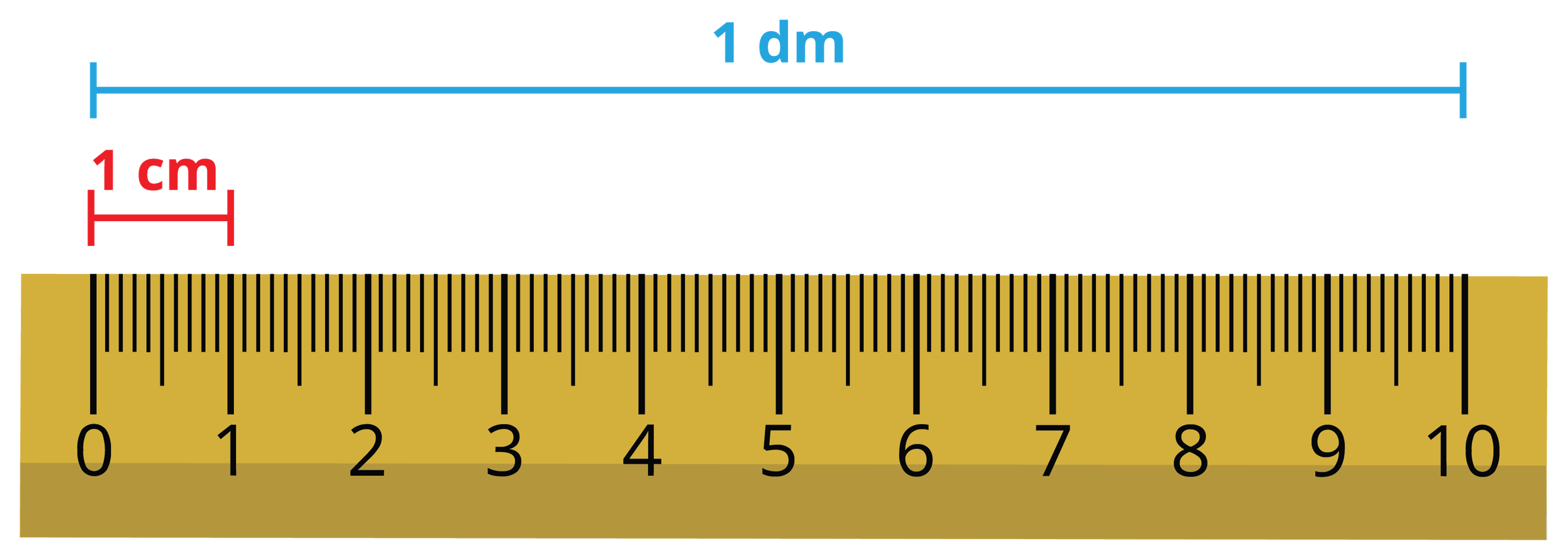 Garuma mēri. Metrs, decimetrs, centimetrs un milimetrs — teorija ...