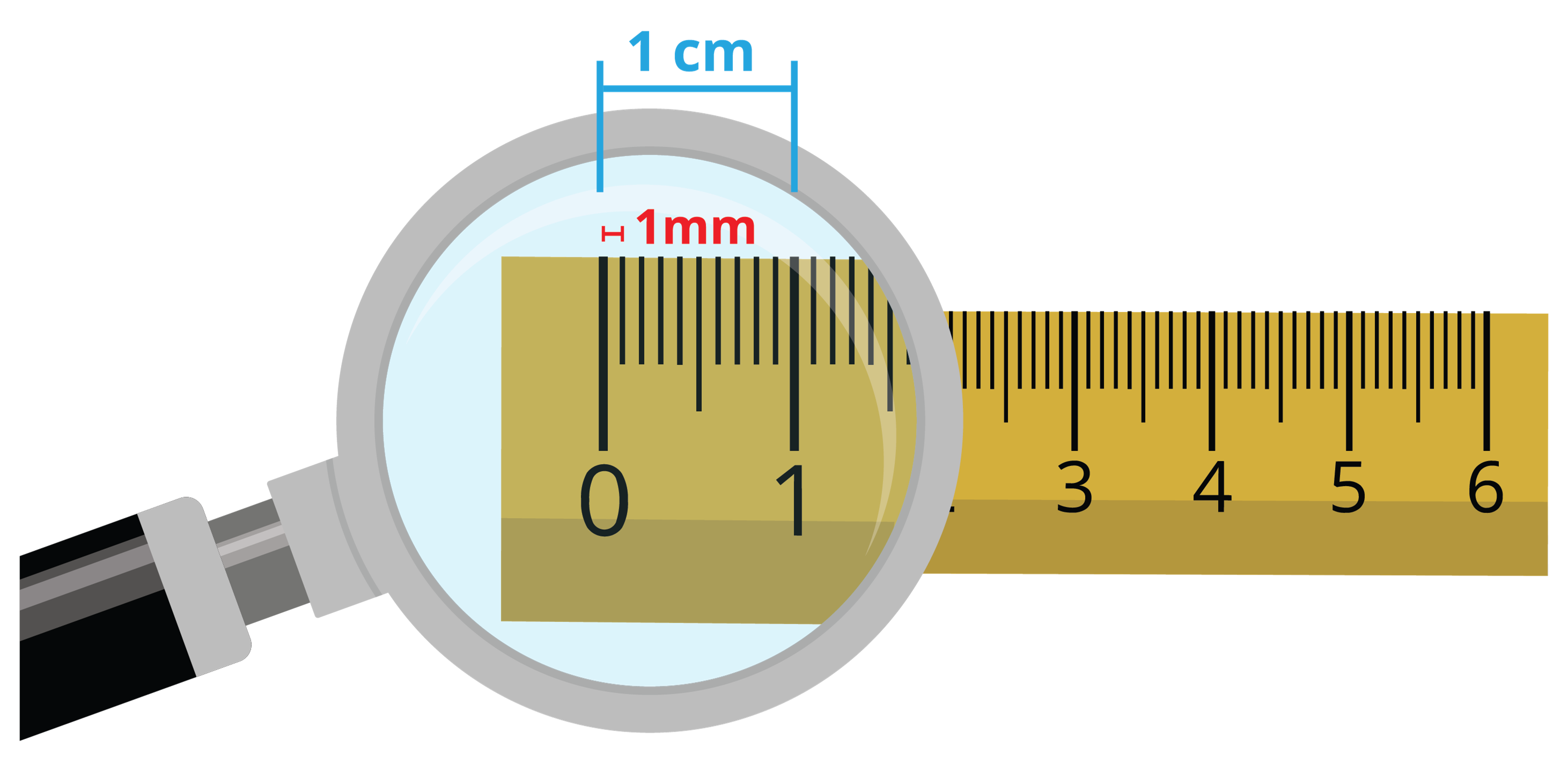 Garuma mēri. Metrs, decimetrs, centimetrs un milimetrs — teorija ...