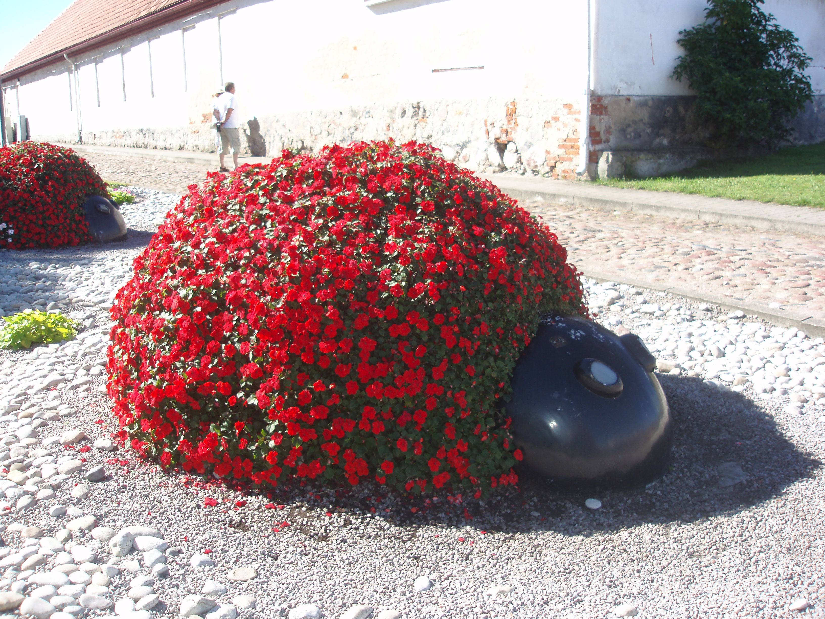 Vides dizains. Dabas elementi — teorija. Vizuālā māksla (Skola2030), 2 ...