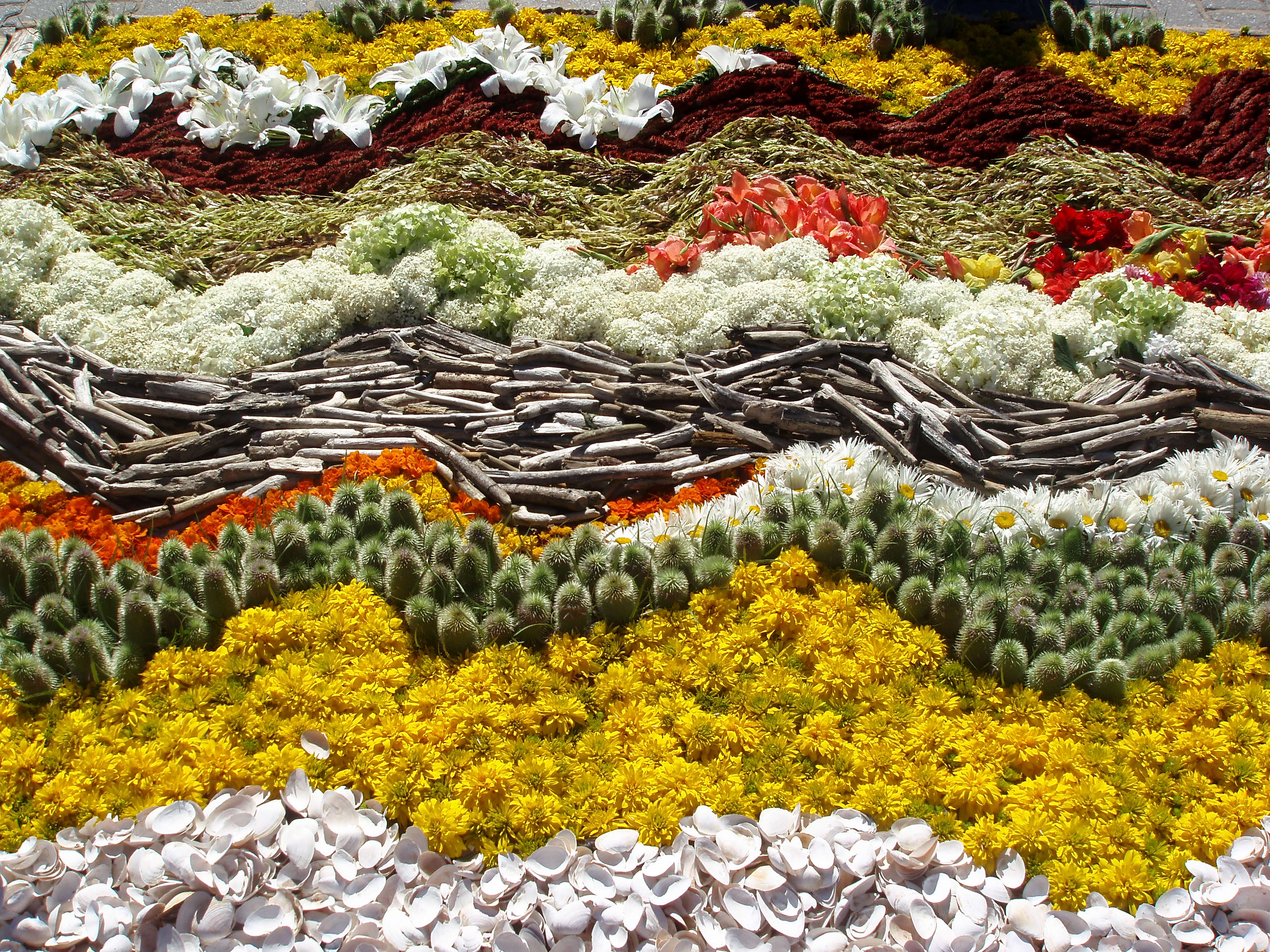 Vides dizains. Dabas elementi — teorija. Vizuālā māksla (Skola2030), 2 ...