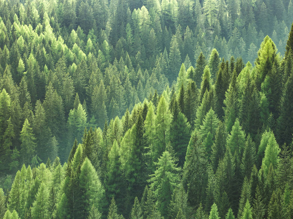 Dabas resursi - kas tie ir un kā tos iedala? — teorija. Dabaszinības ...