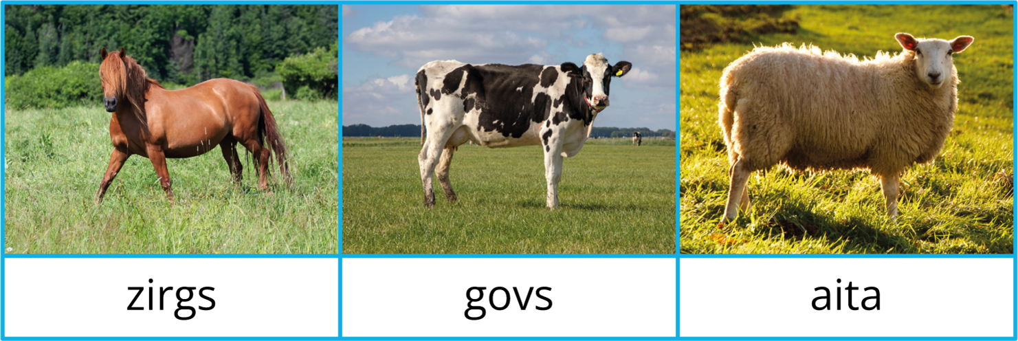 Mājdzīvnieku un to mazuļu nosaukumi — teorija. Latviešu valoda ...