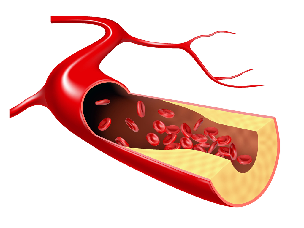 Asinsrites sistēma — uzdevums. Dabaszinības (Skola2030), 6. klase.