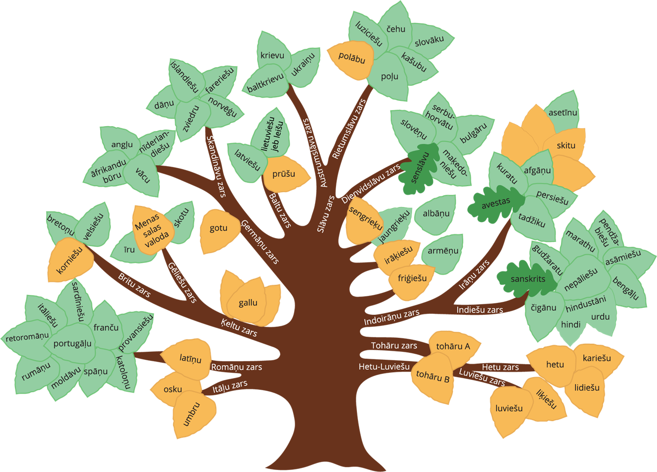 Valoda — teorija. Latviešu valoda, 4. klase.