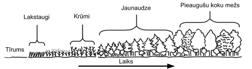 1. daļas 10. uzdevums. Sukcesija — uzdevums. Eksāmens un monitoringa ...