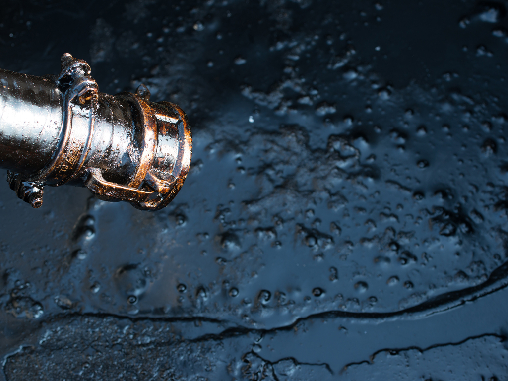 Dabas resursi - kas tie ir un kā tos iedala? — teorija. Dabaszinības ...