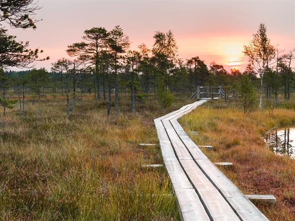 Aizsargājamie dabas objekti — teorija. Dabaszinības, 4. klase.